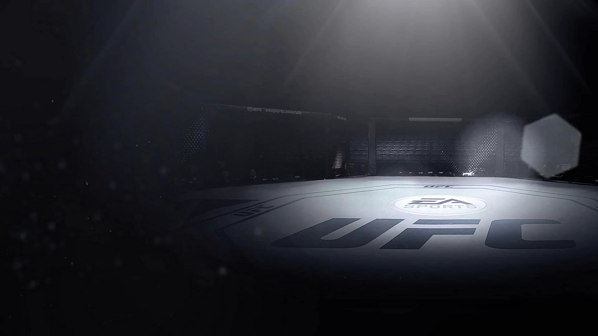 UFC 308 tournament at Etihad Arena: the biggest event of the year in ...
