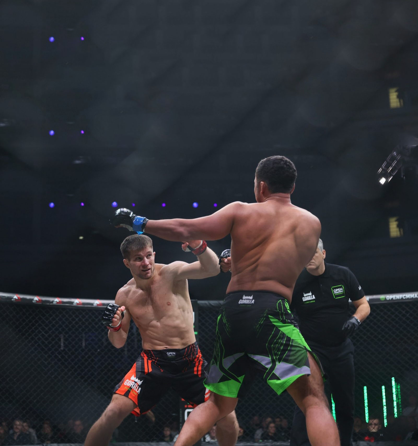 Open Fighting Championship 49 in Tolyatti: Evening of GORILLA ENERGY ...